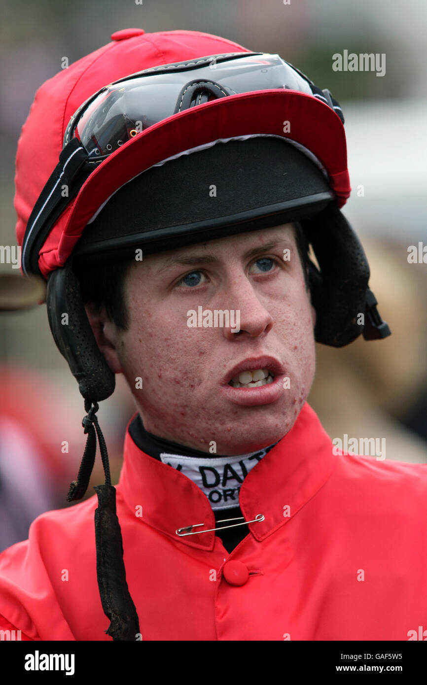 Horse racing cheltenham racecourse hi-res stock photography and images ...