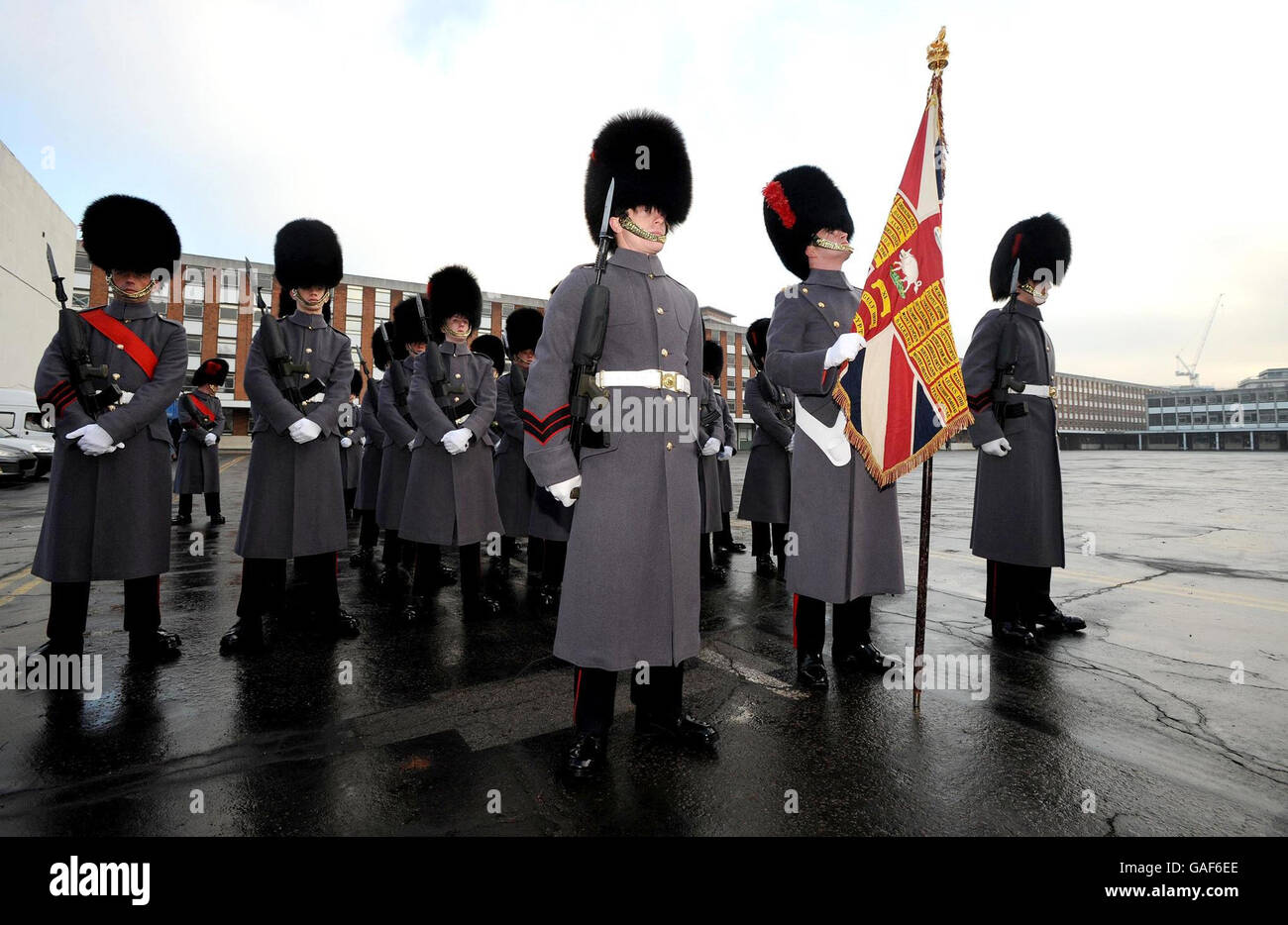 Commanding officer no 7 company coldstream guards hi-res stock ...