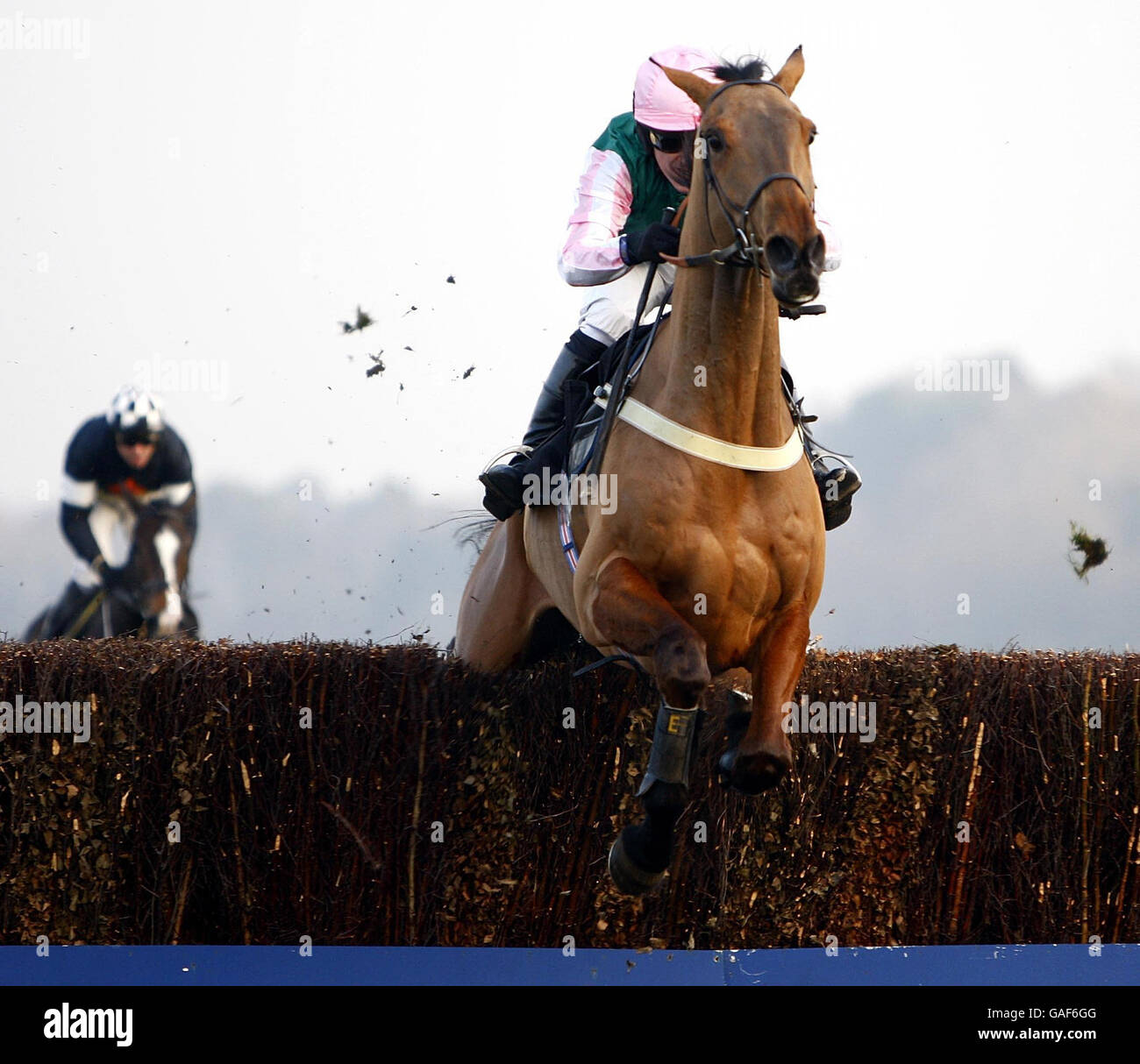 Tony anthony racing ascot hi-res stock photography and images - Alamy