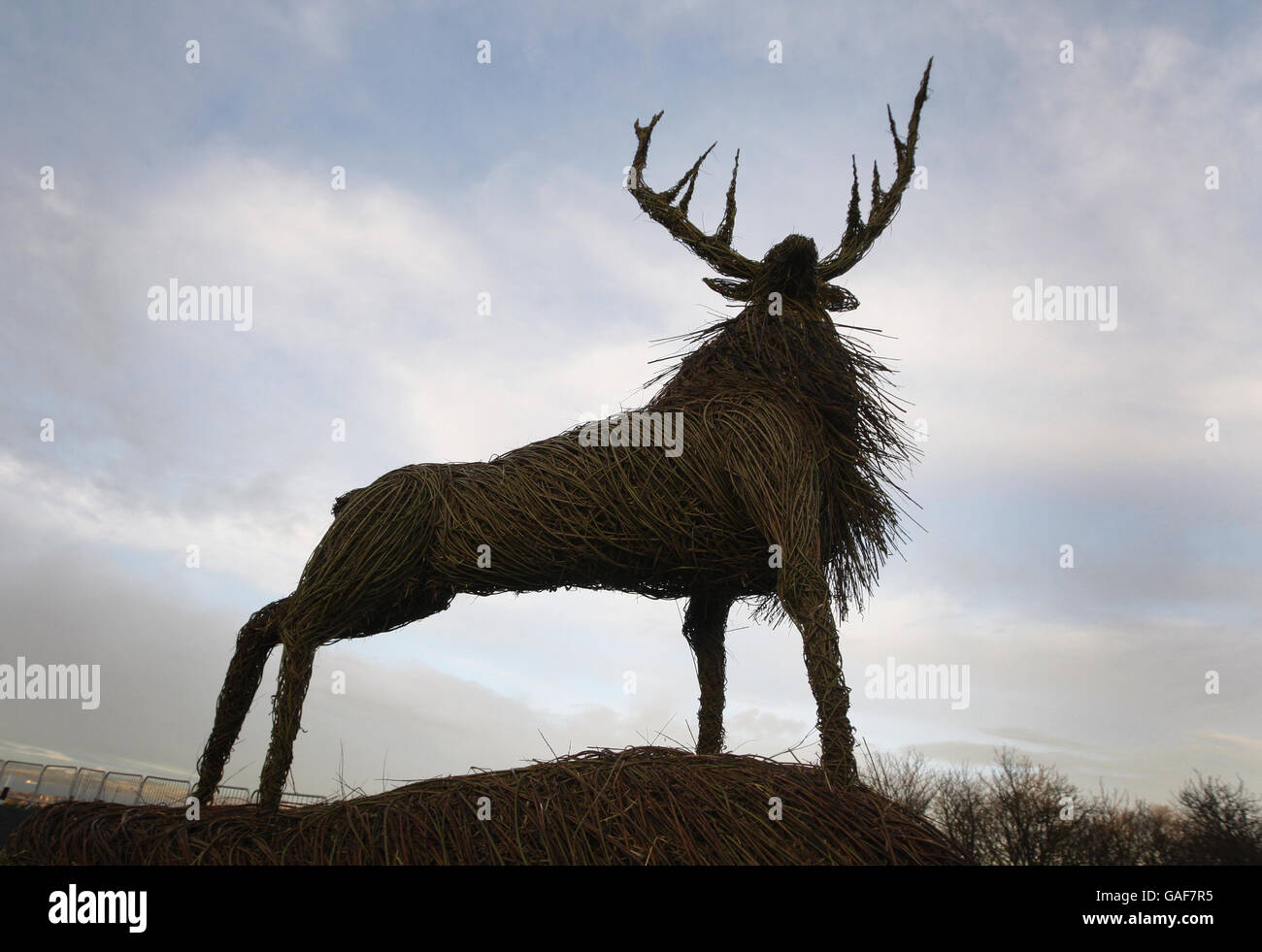 A Scottish stag effigy ahead of the 'Torchlight Procession' this ...
