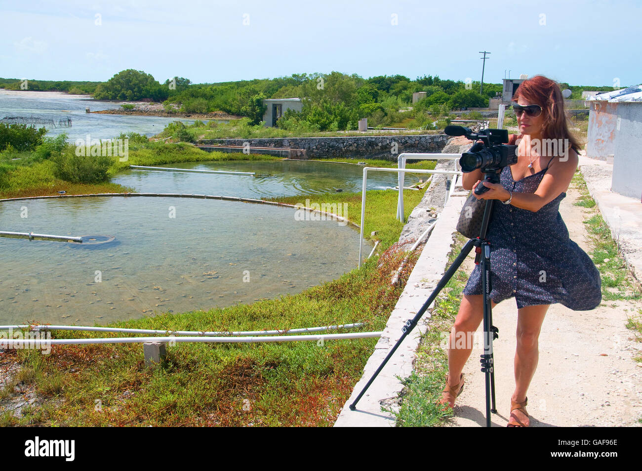 The world's only conch farm on the island of Providenciales in the ...