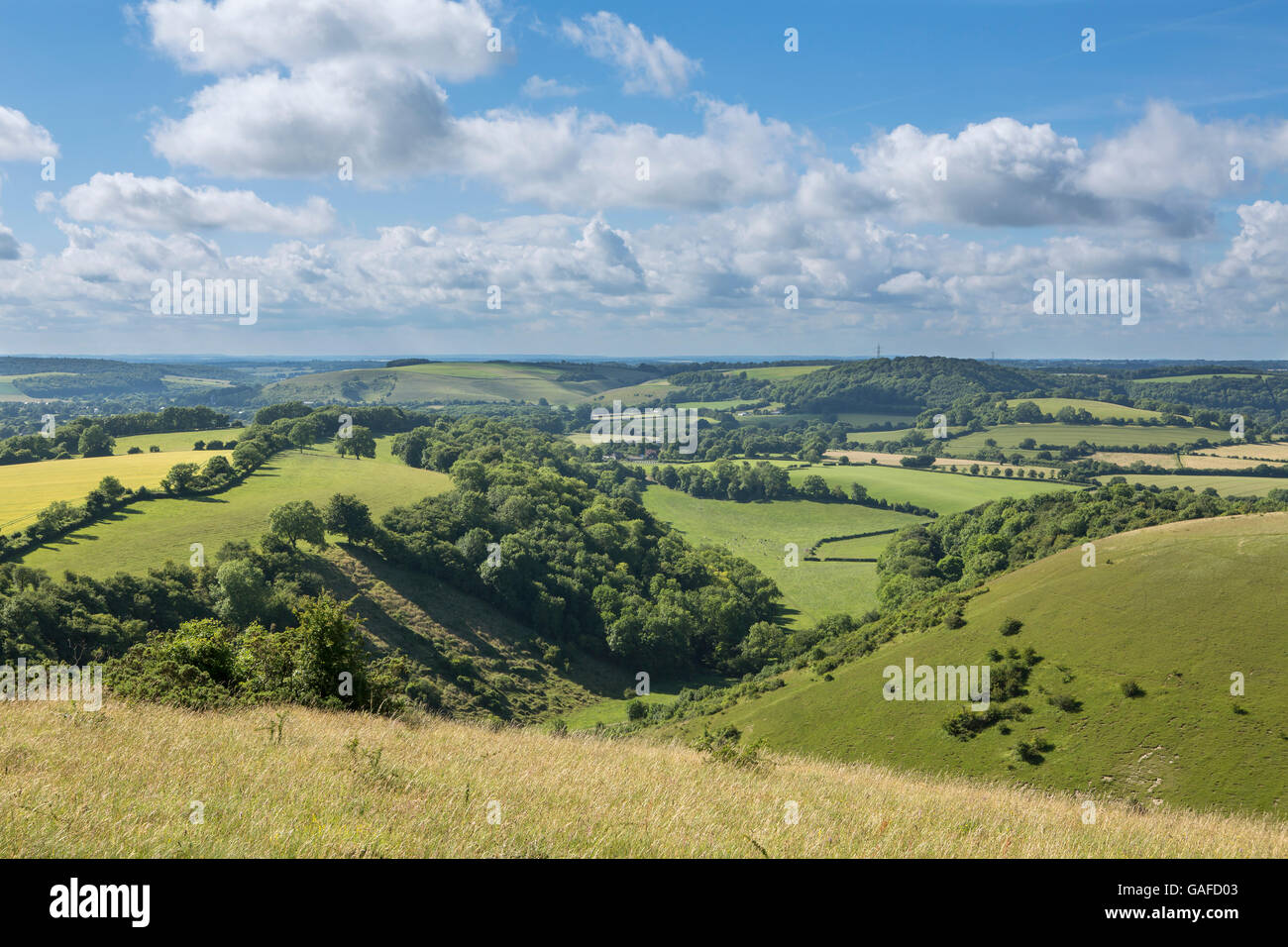 Geological feature on the South Downs in Hampshire England. Grass ...