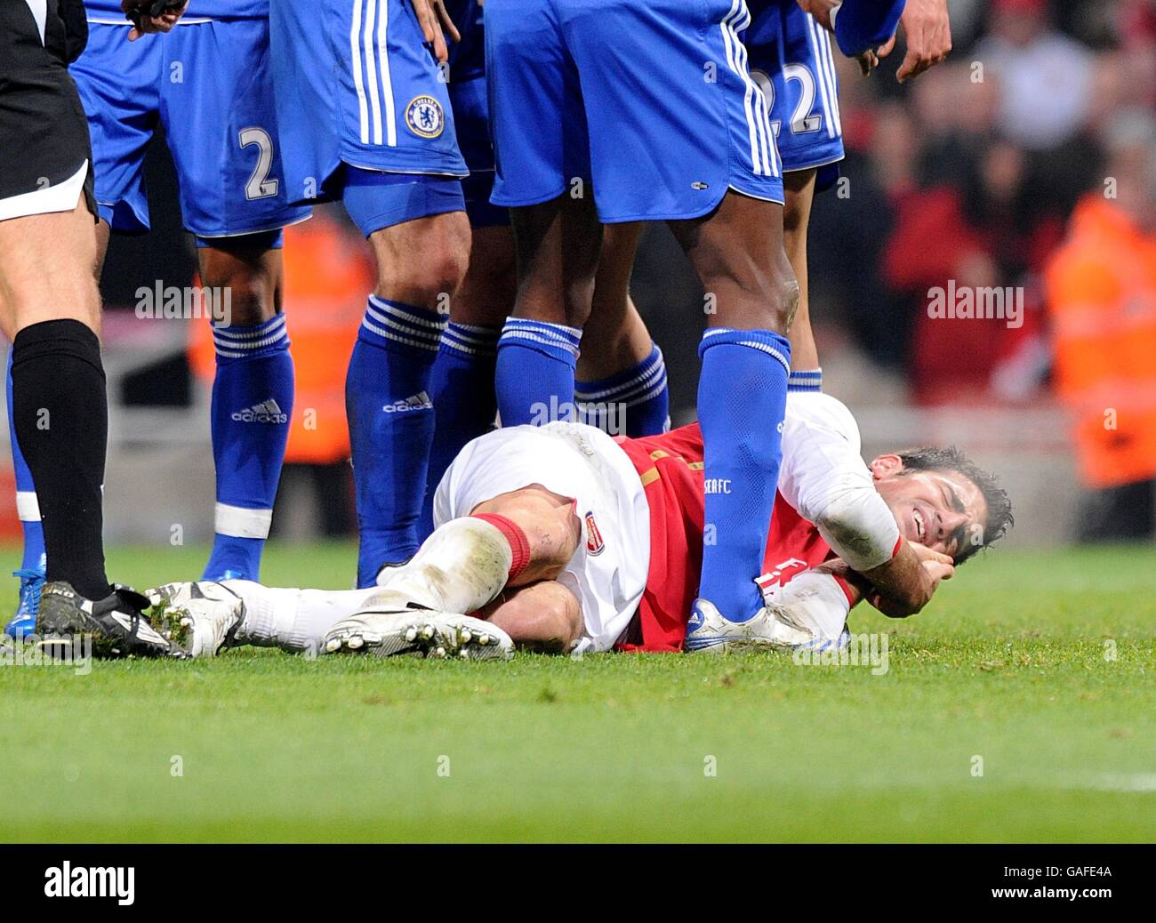 Arsenal's Francesc Fabregas lies clutching his face on the floor after ...