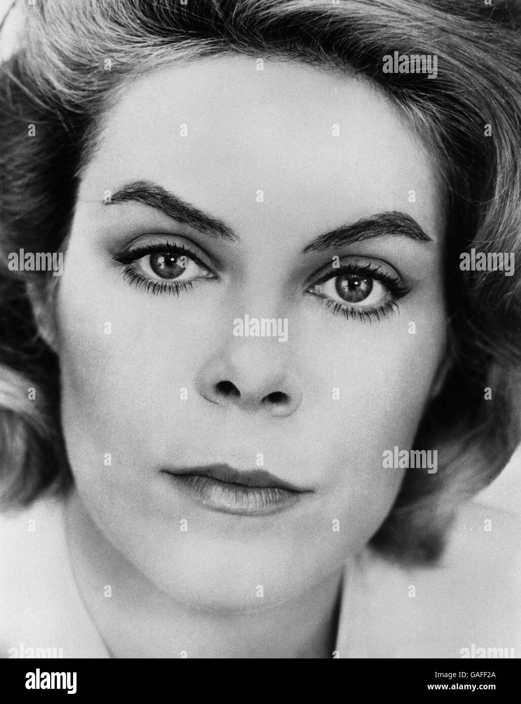 Rachel hammond Black and White Stock Photos & Images - Alamy