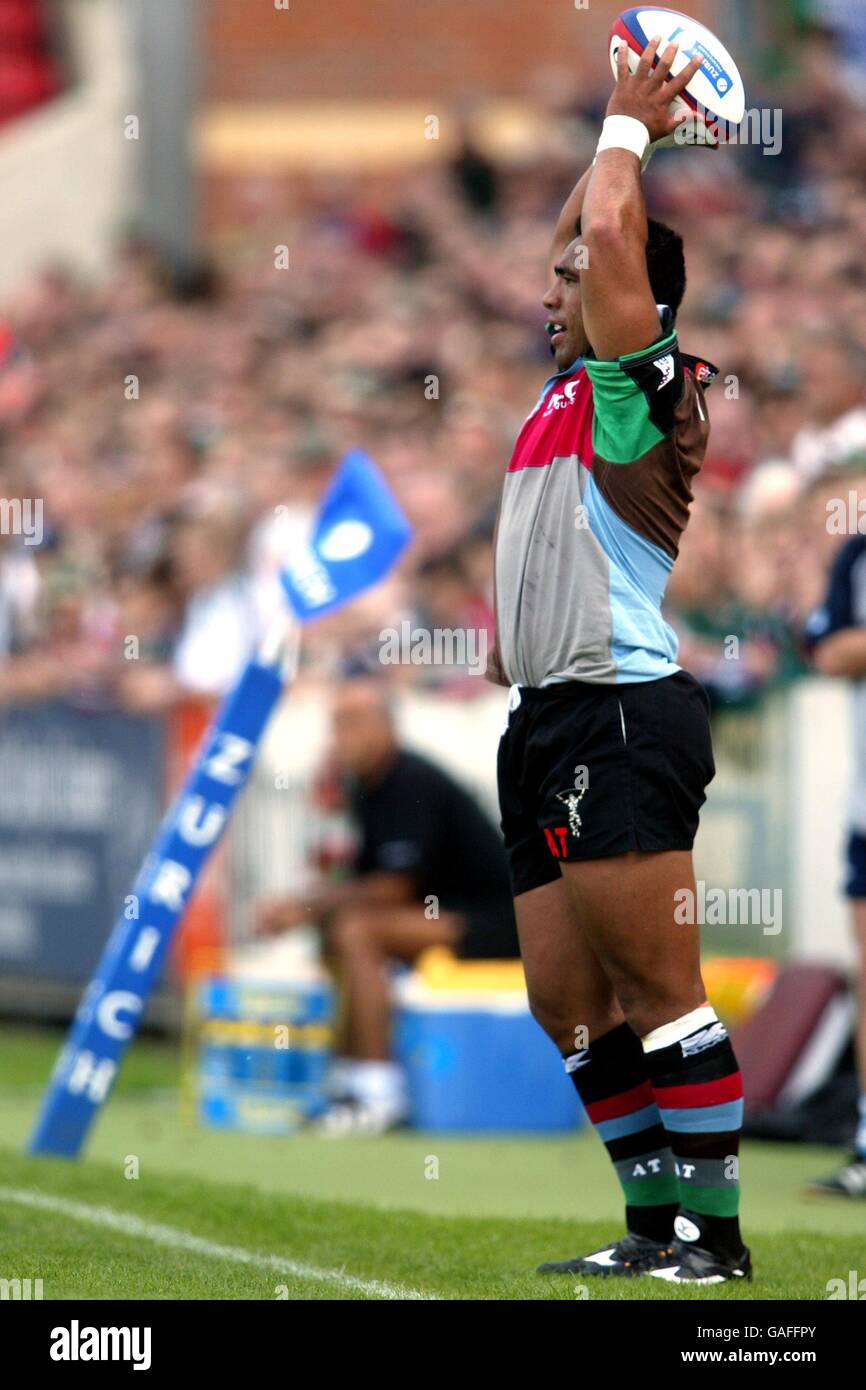 Ace tiatia hi-res stock photography and images - Alamy