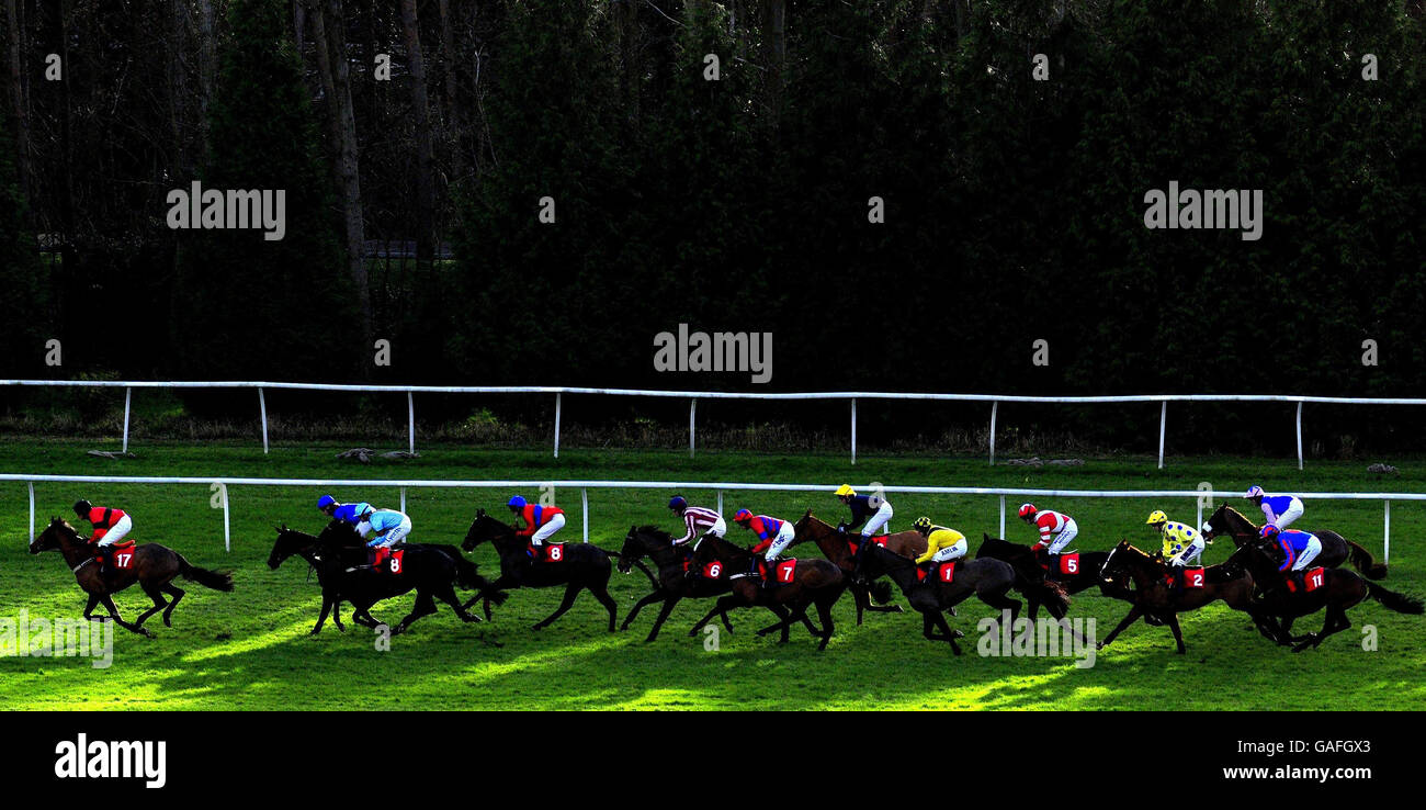 Back straight gallop hi-res stock photography and images - Alamy