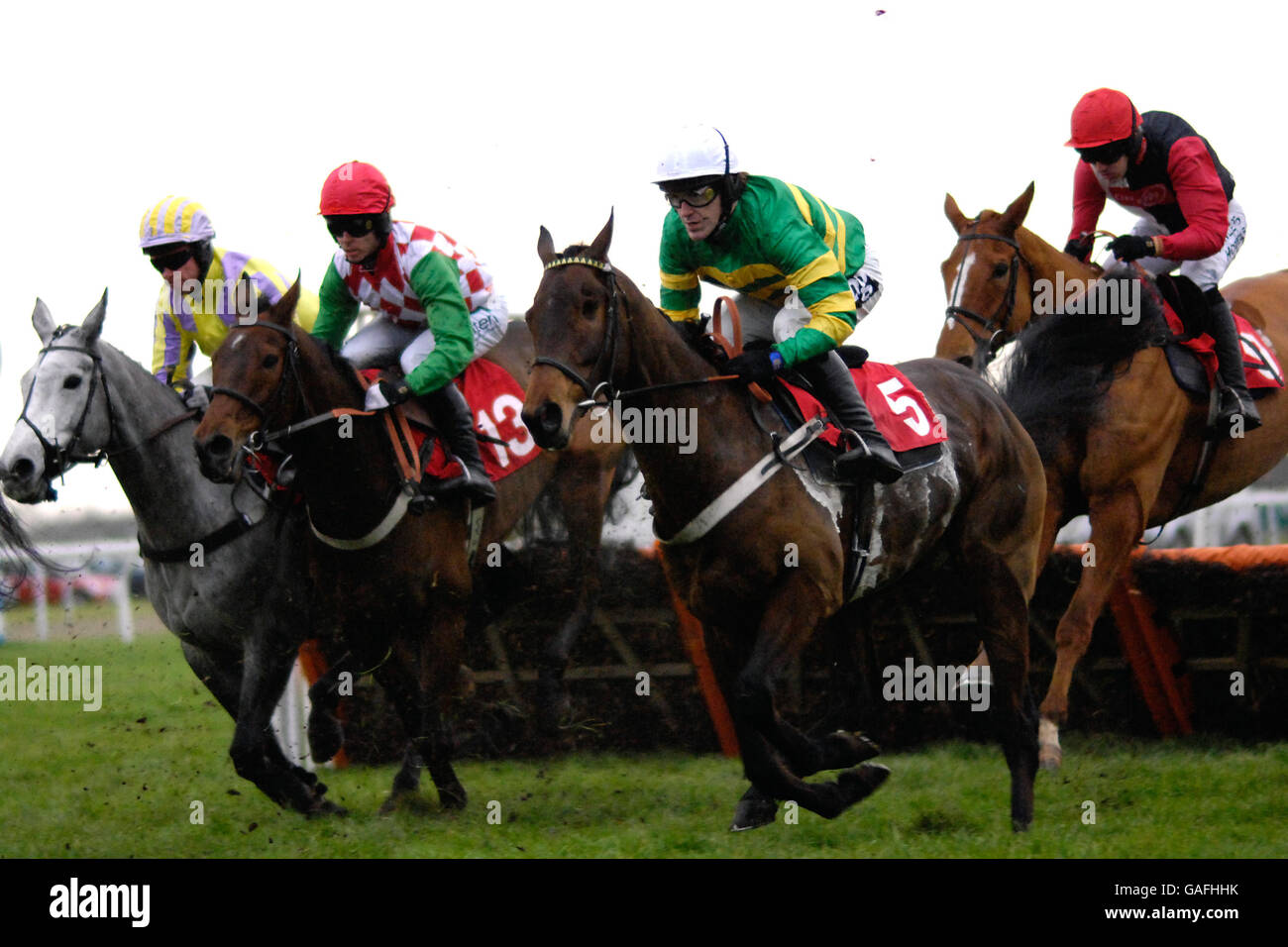 5f horse hi-res stock photography and images - Alamy