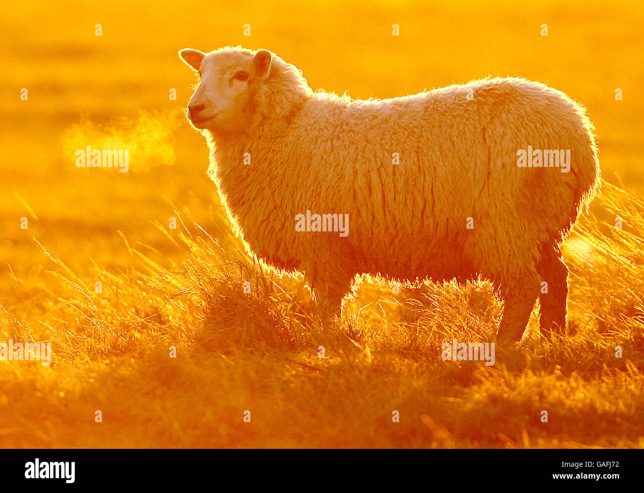 Charlwood sussex hi-res stock photography and images - Alamy