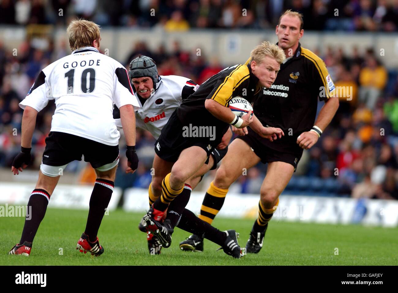 Wasps Stuart Abbott High Resolution Stock Photography and Images - Alamy