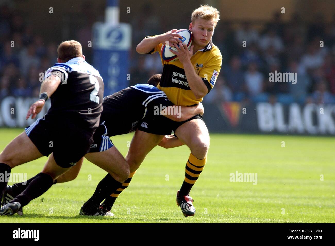 Wasps Stuart Abbott High Resolution Stock Photography and Images - Alamy