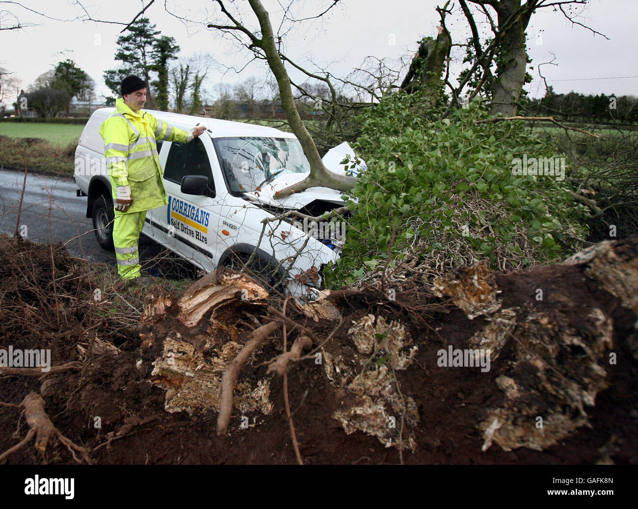 Tree fell across road hi-res stock photography and images - Alamy
