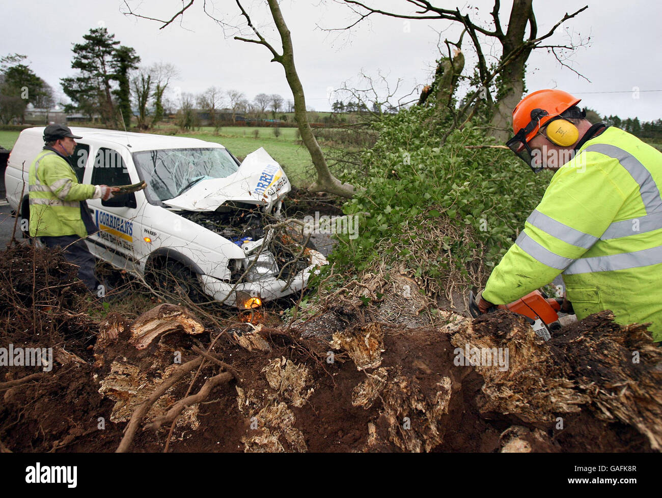 Tree fell across road hi-res stock photography and images - Alamy