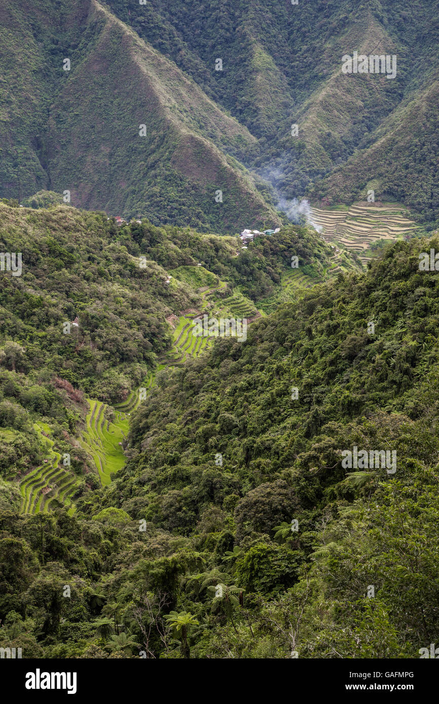 Batad rice terraces have an amphitheatre semi-circular quality with a ...