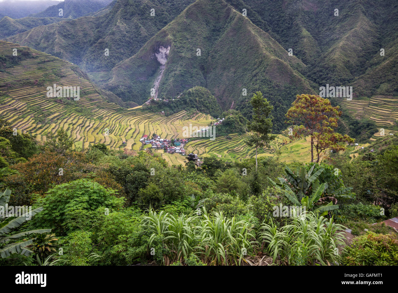 Ifugao culture hi-res stock photography and images - Alamy