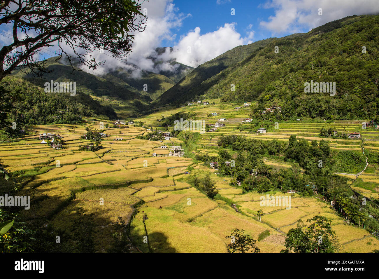 Hungduan Hapao rice terraces near Banaue is expansive with scattered ...