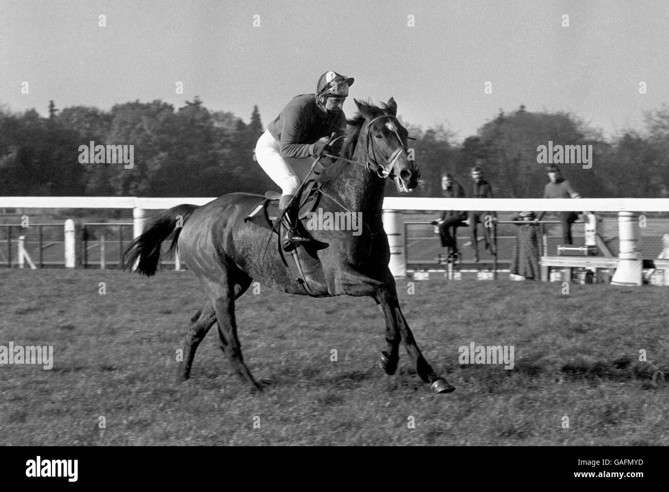 Horse Racing - Captain Christy. Mrs. J.M.A. Samuel's Captain Christy ...