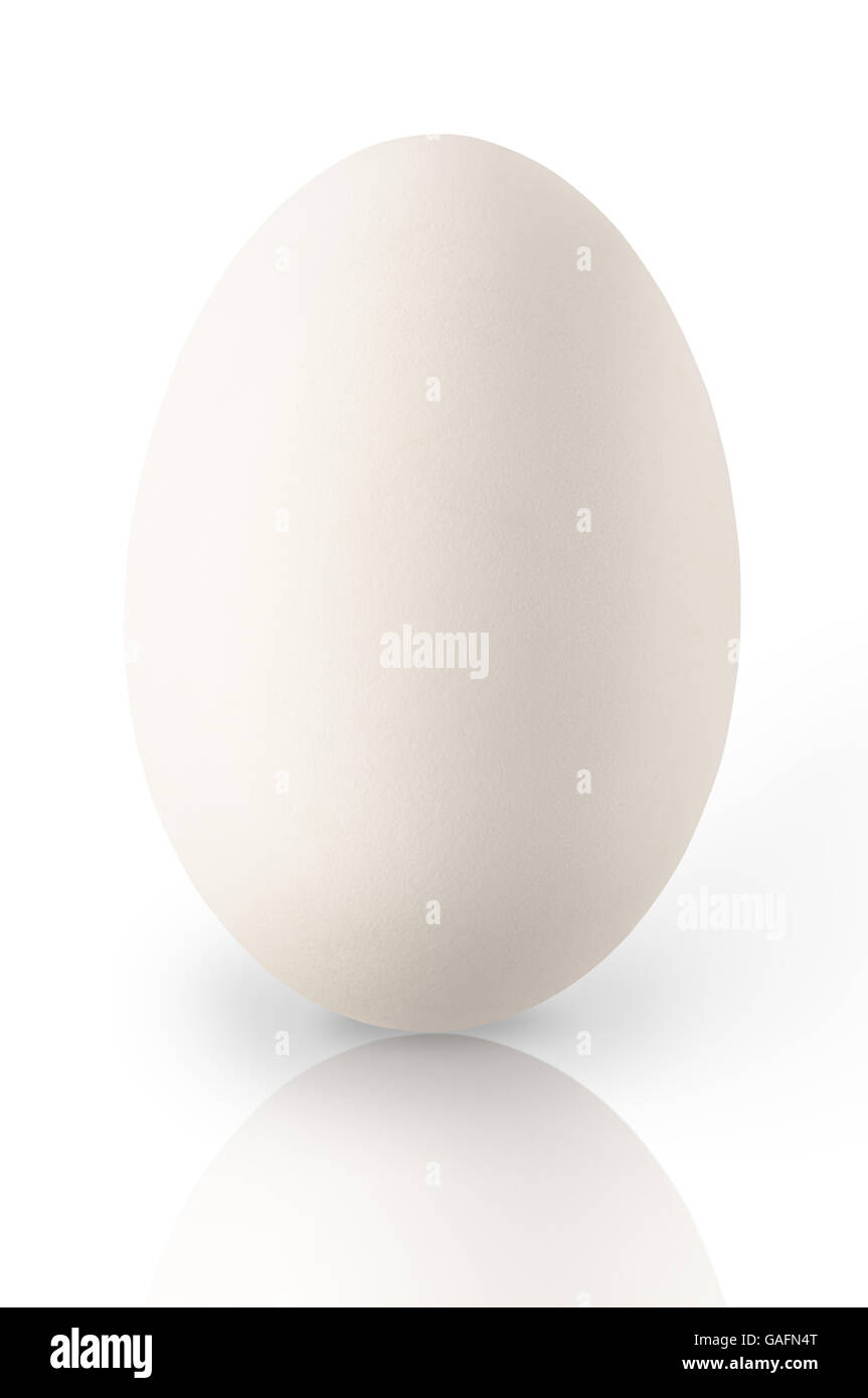Single white chicken egg with reflection isolated on white background ...