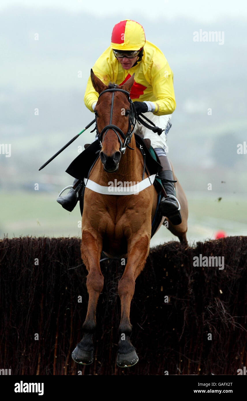 Joe Lively riden by Joe Tizzard takes a jump on his way to victory in ...