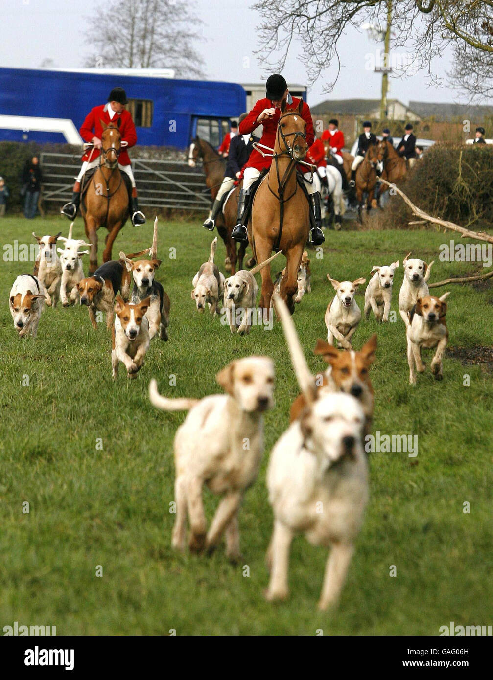 Environment hunting general view gv hunting dogs riding england mangrs ...