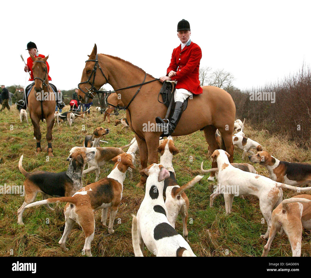 Environment hunting general view gv hunting dogs riding england mangrs ...