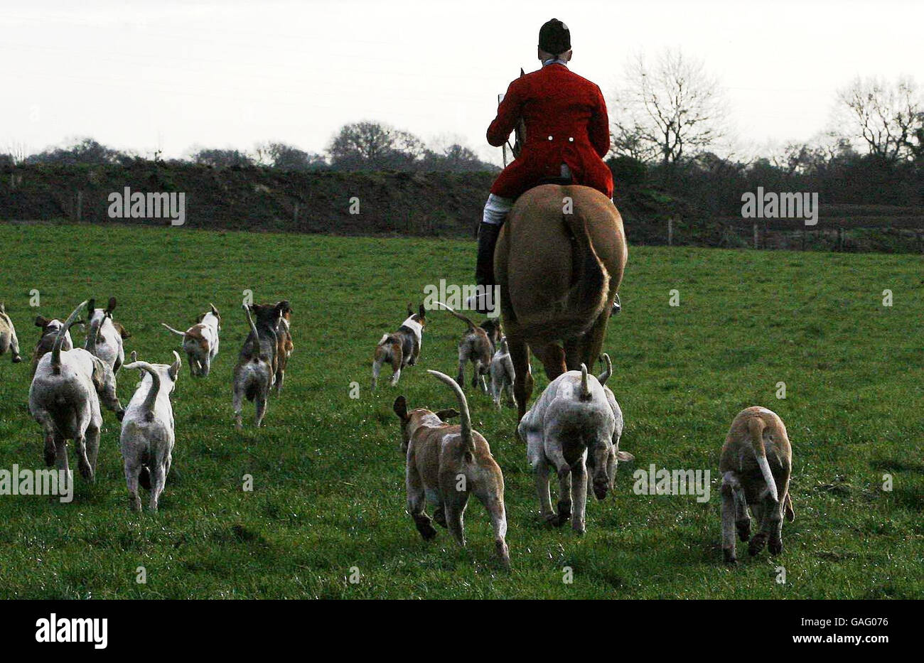 Boxing Day hunting Stock Photo - Alamy