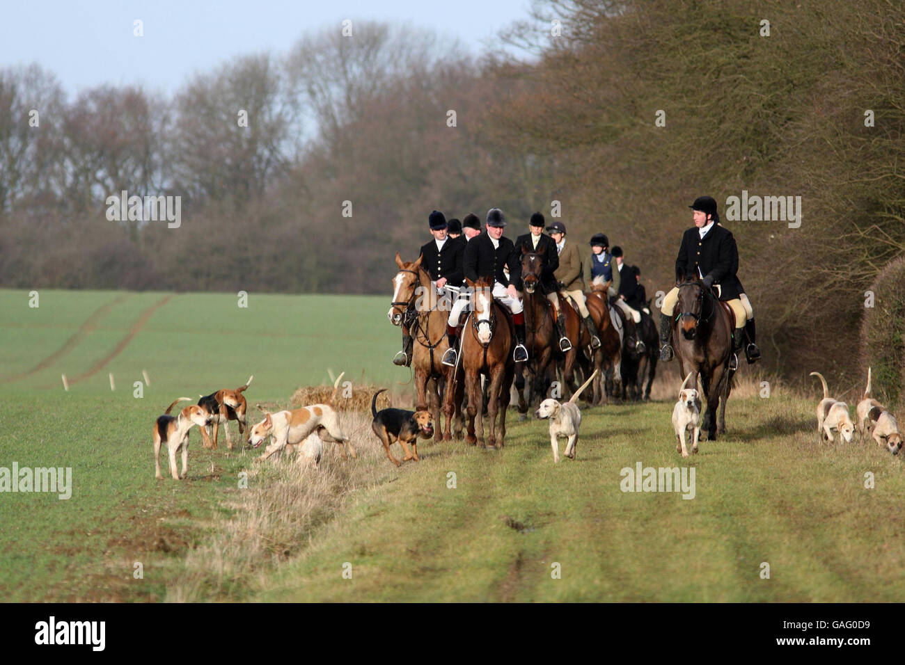 Brent Pelham Hertfordshire High Resolution Stock Photography and Images ...
