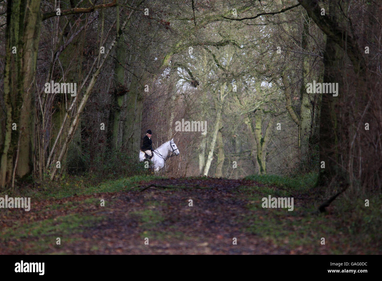 Boxing environment hi-res stock photography and images - Alamy