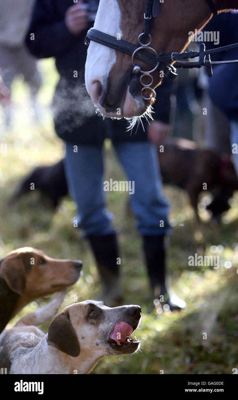 Boxing Day hunting Stock Photo - Alamy