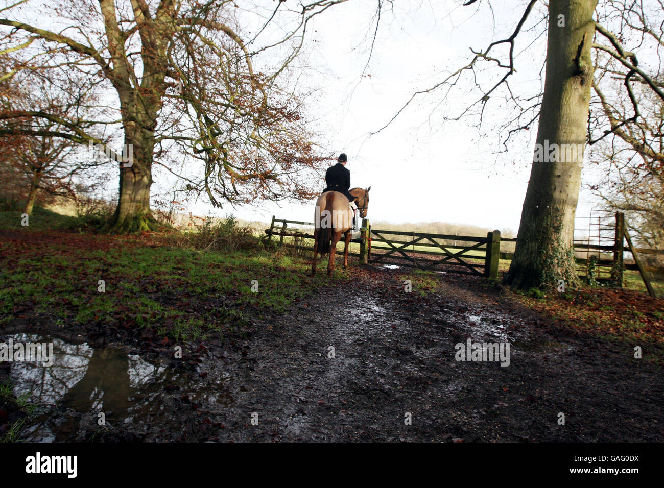 The Puckeridge Hunt go out on their traditional Boxing Day hunt across ...