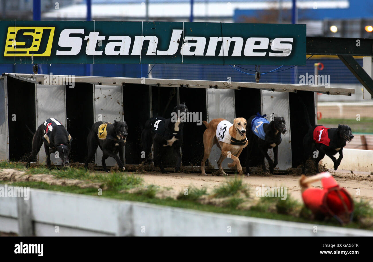 Greyhound Racing - Perry Bar Stock Photo - Alamy