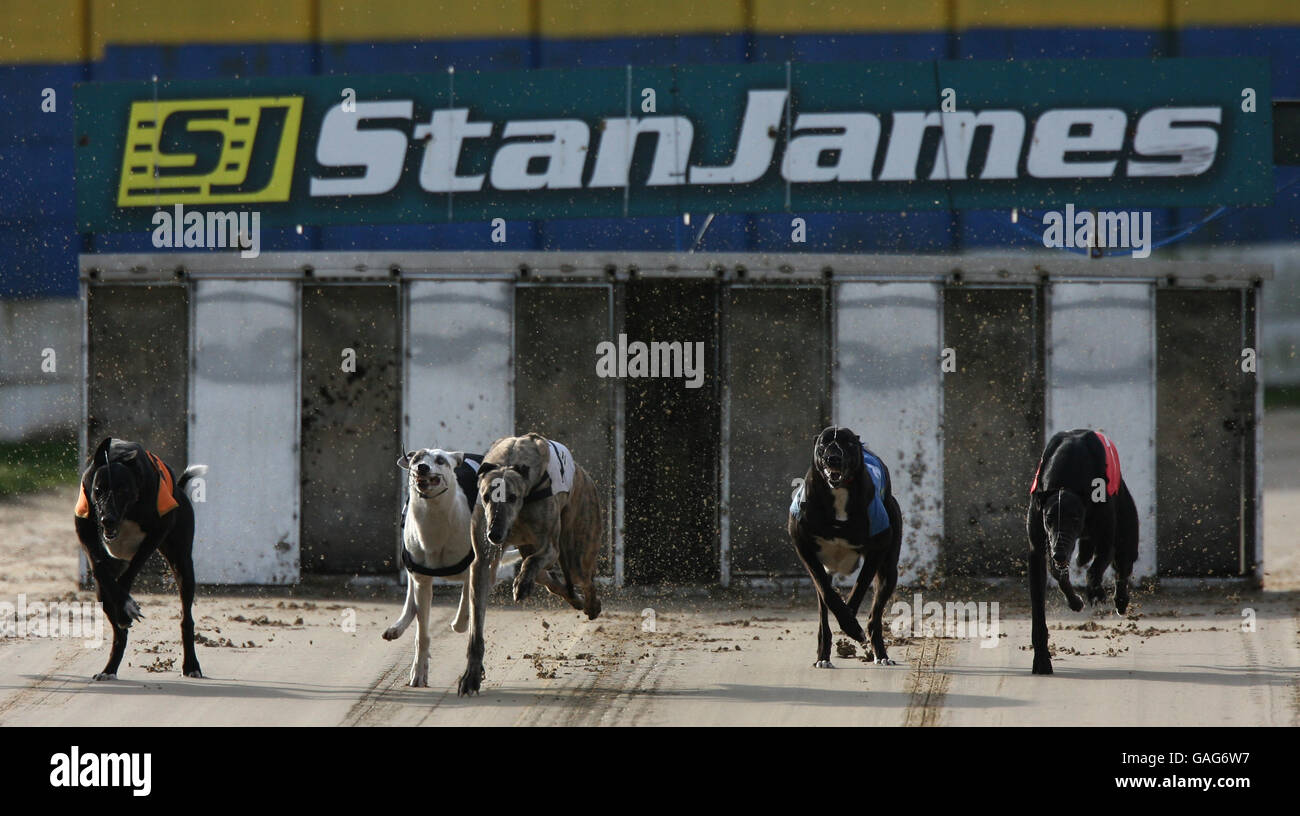 Greyhound racing at Perry Bar track in Birmingham. Tuesday 22 January ...