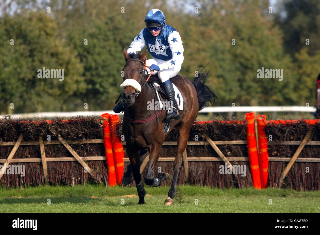 Horse Racing - Fakenham Races Stock Photo - Alamy