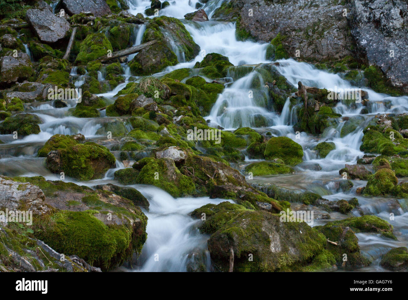 Water flowing over the stones with moss. Mountain scene Stock Photo - Alamy