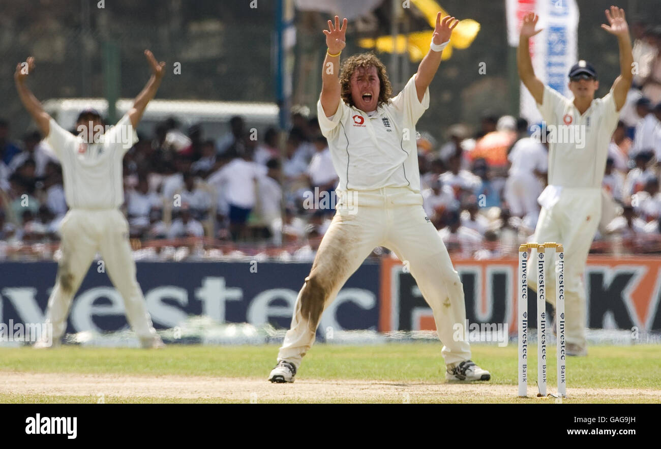 Full length shouting appealing mangrs hi-res stock photography and ...