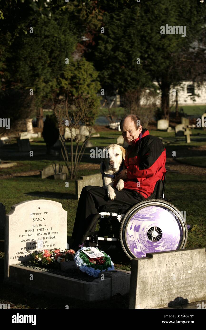 Yellow labrador Endal, a guide dog who was awarded the first ever ...