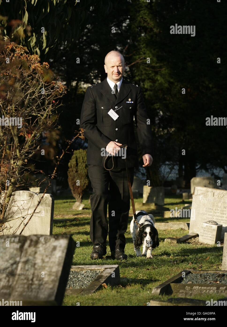 Pdsa Dickin Medal High Resolution Stock Photography and Images - Alamy