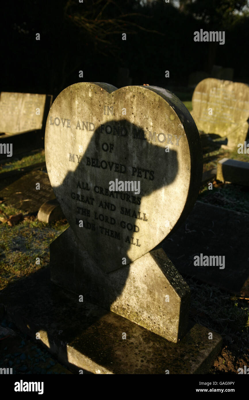 A pet grave stone is photographed during a ceremony to honour ...