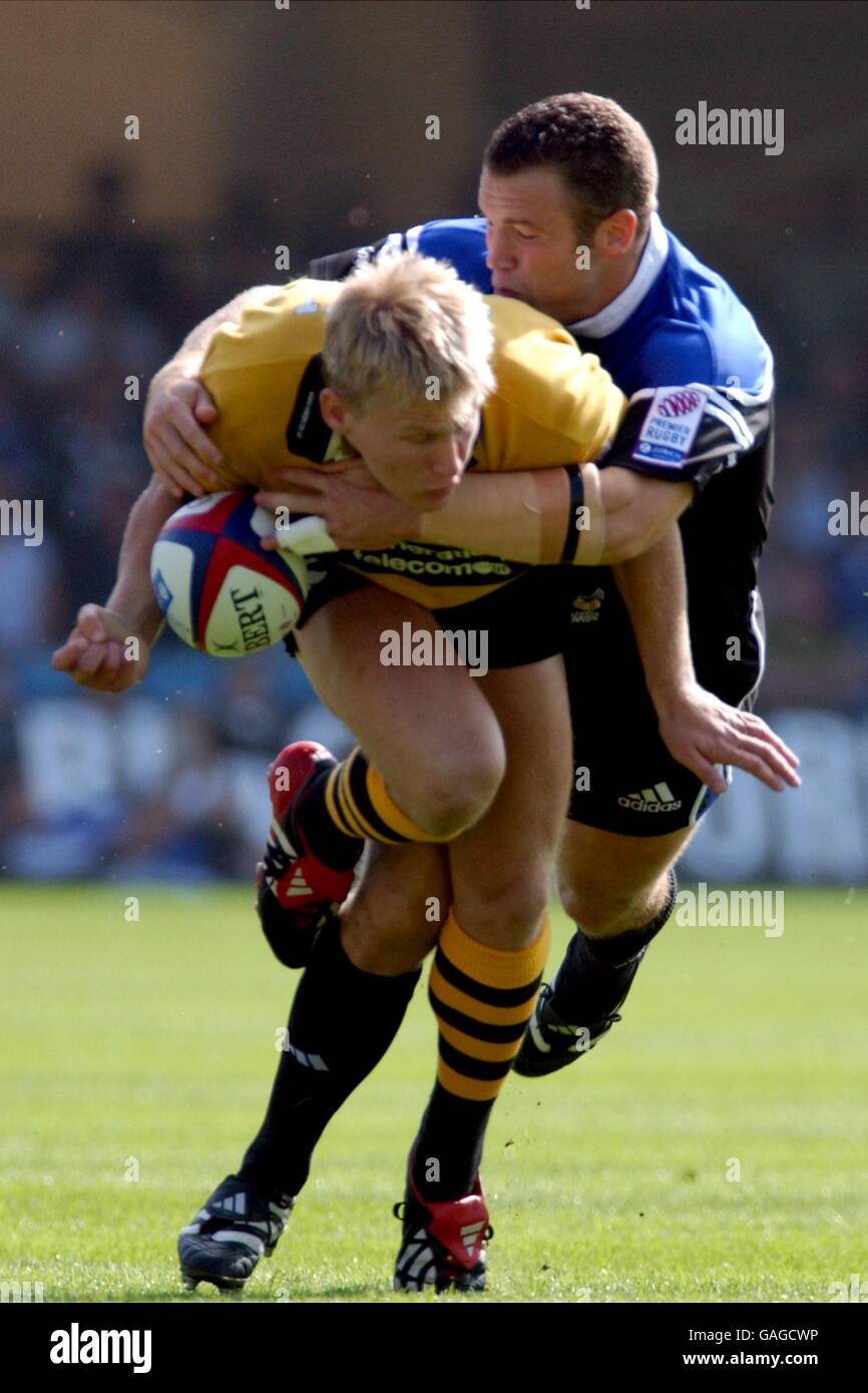 Wasps stuart abbott hi-res stock photography and images - Alamy