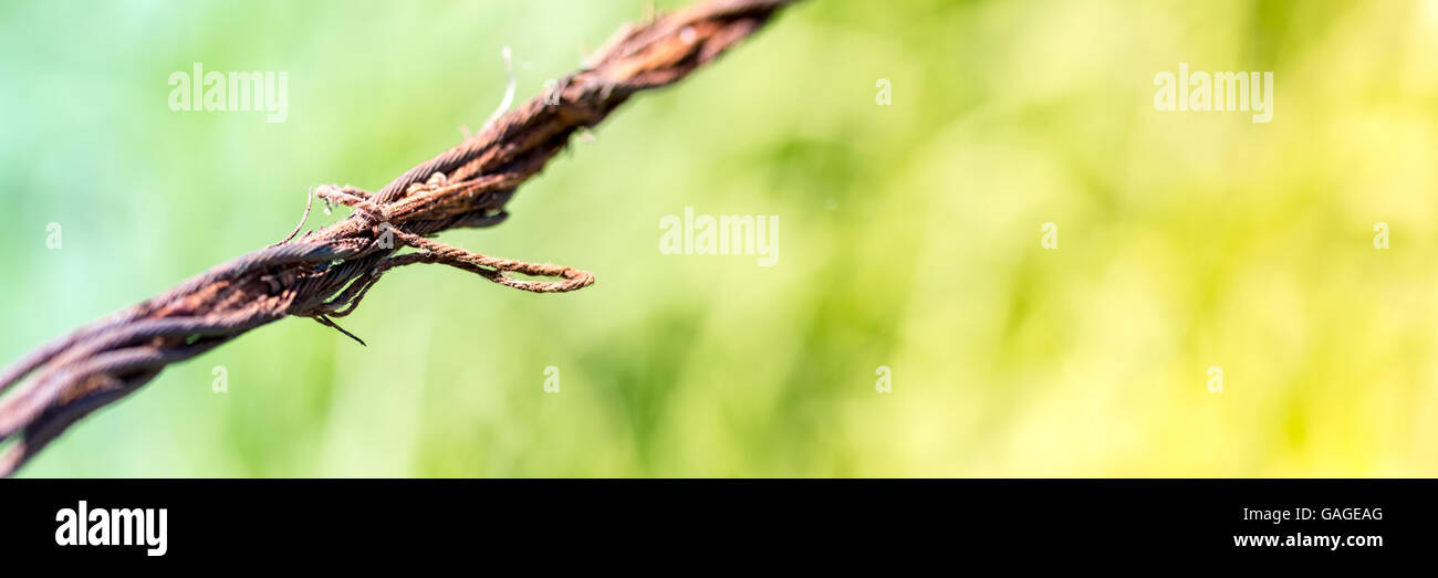 Prison and border metaphors, on a green background Stock Photo - Alamy