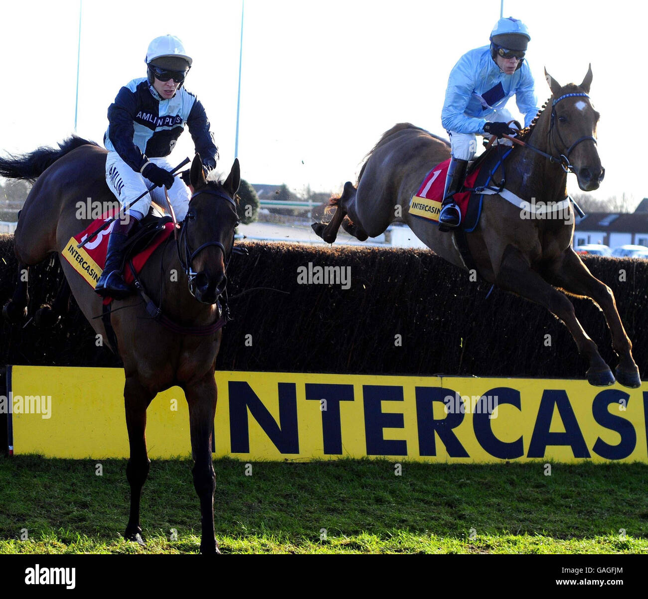 Royals Darling and Mick Fitzgerald (right) on their way to victory in ...