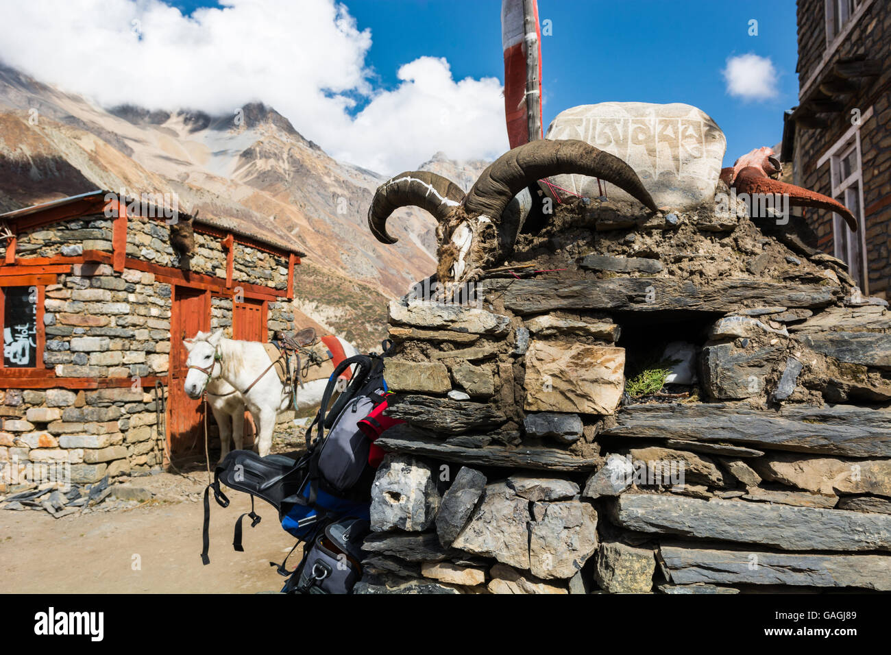 Yak skull on a building Stock Photo - Alamy