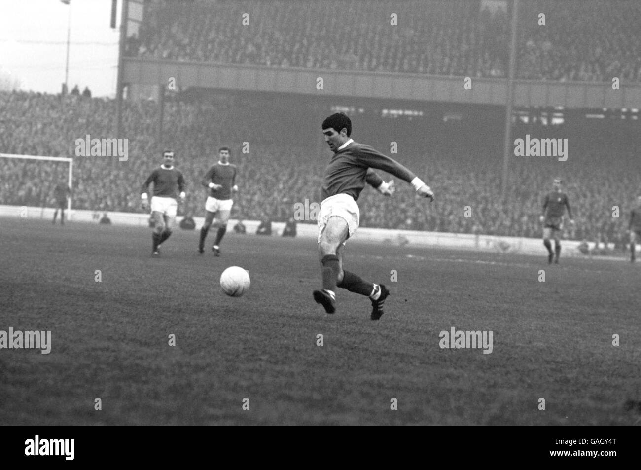 Dunne hi-res stock photography and images - Alamy