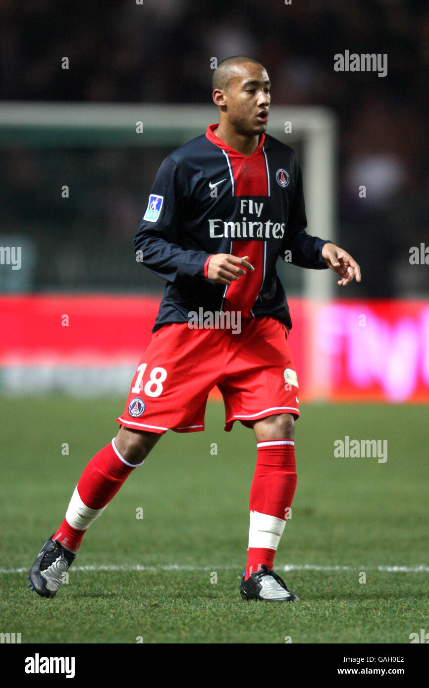 Loris arnaud hi-res stock photography and images - Alamy