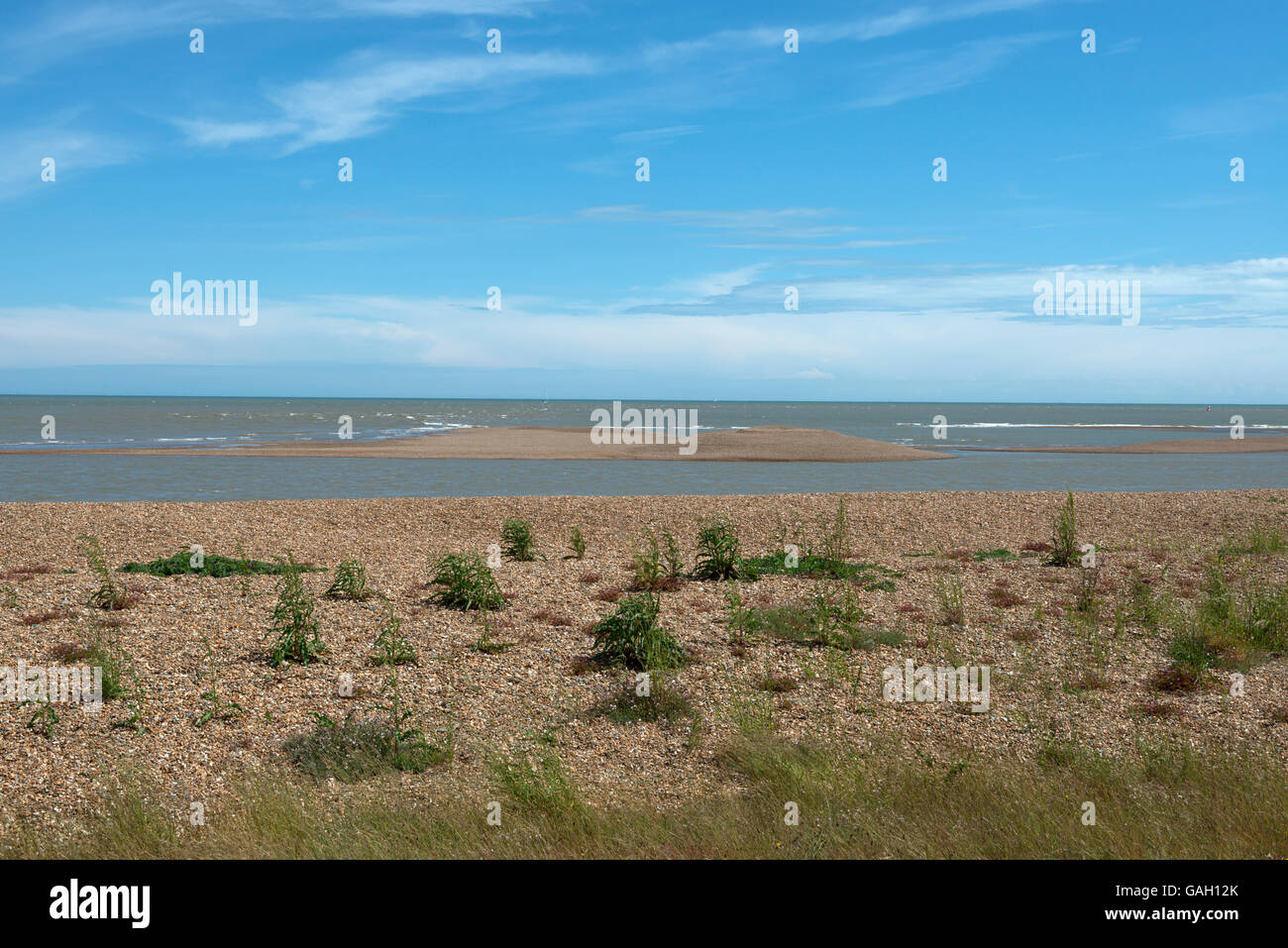 Shingle banks beach shingle beach hi-res stock photography and images ...