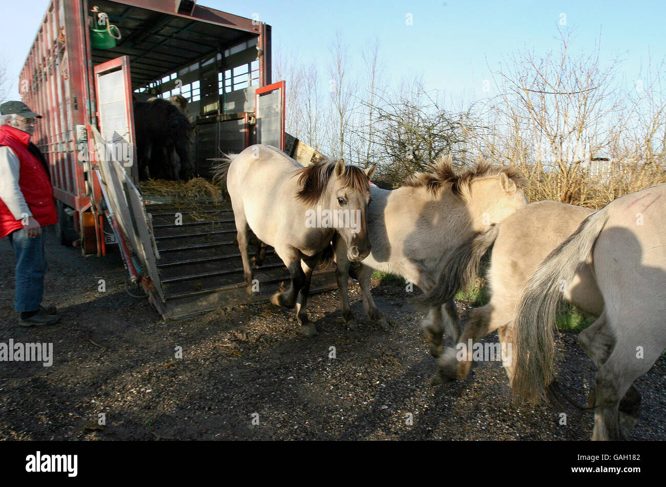 Rspb portmore lough hi-res stock photography and images - Alamy