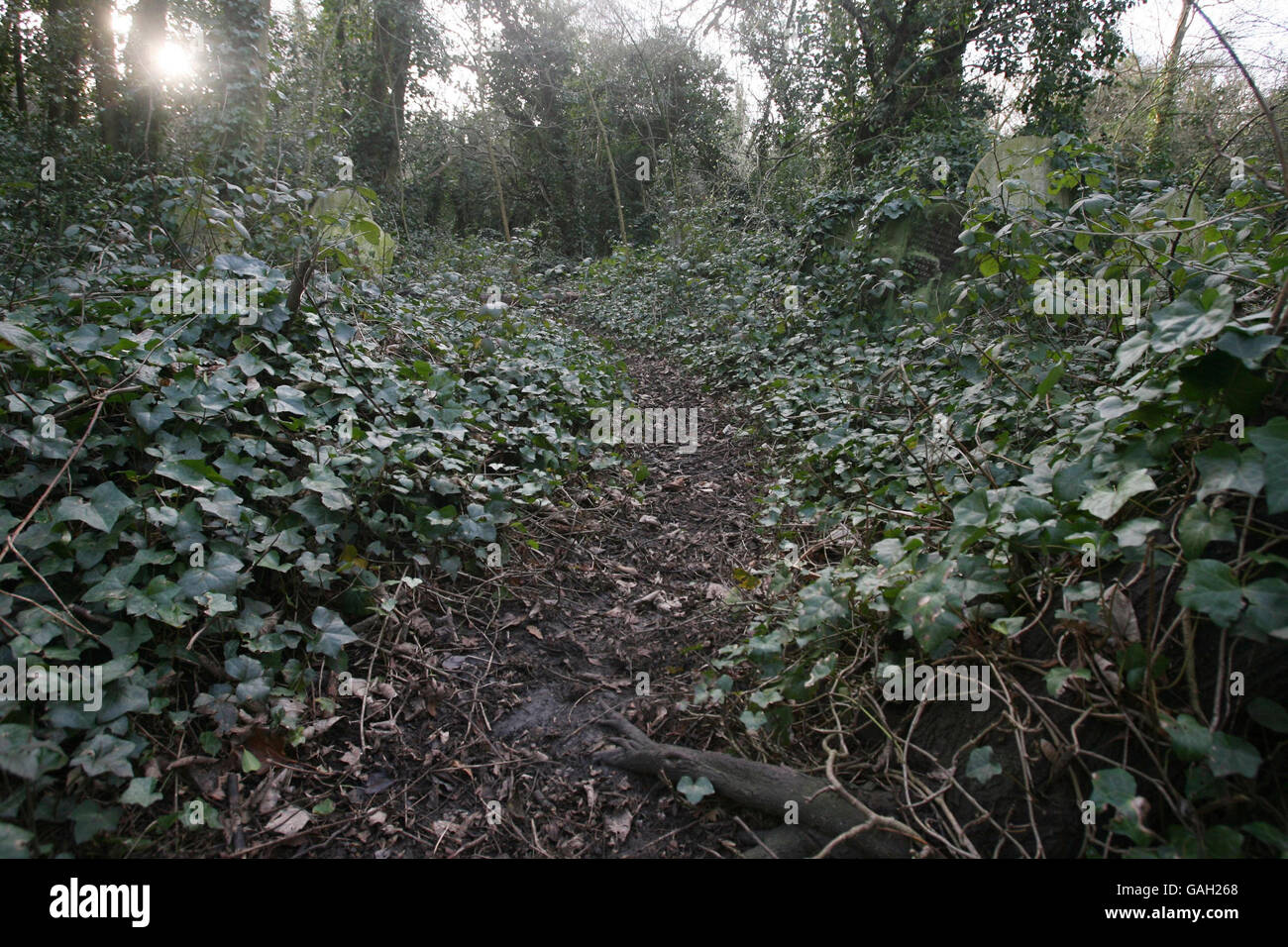 Nunhead Cemetery stock Stock Photo - Alamy