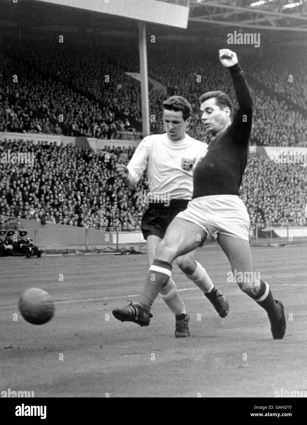 Ferenc sipos hi-res stock photography and images - Alamy