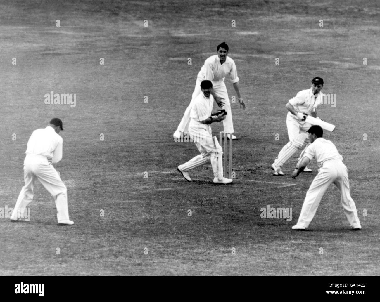 Wally hammond cricket hi-res stock photography and images - Alamy