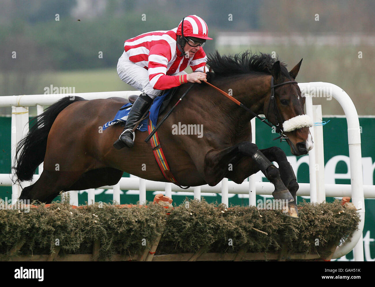 Novice hurdles hi-res stock photography and images - Alamy