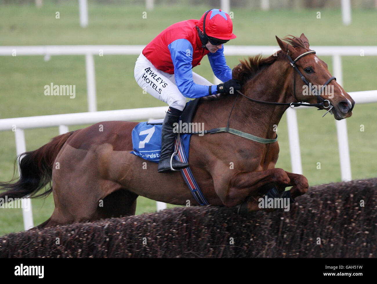 Racing number 7 hi-res stock photography and images - Alamy